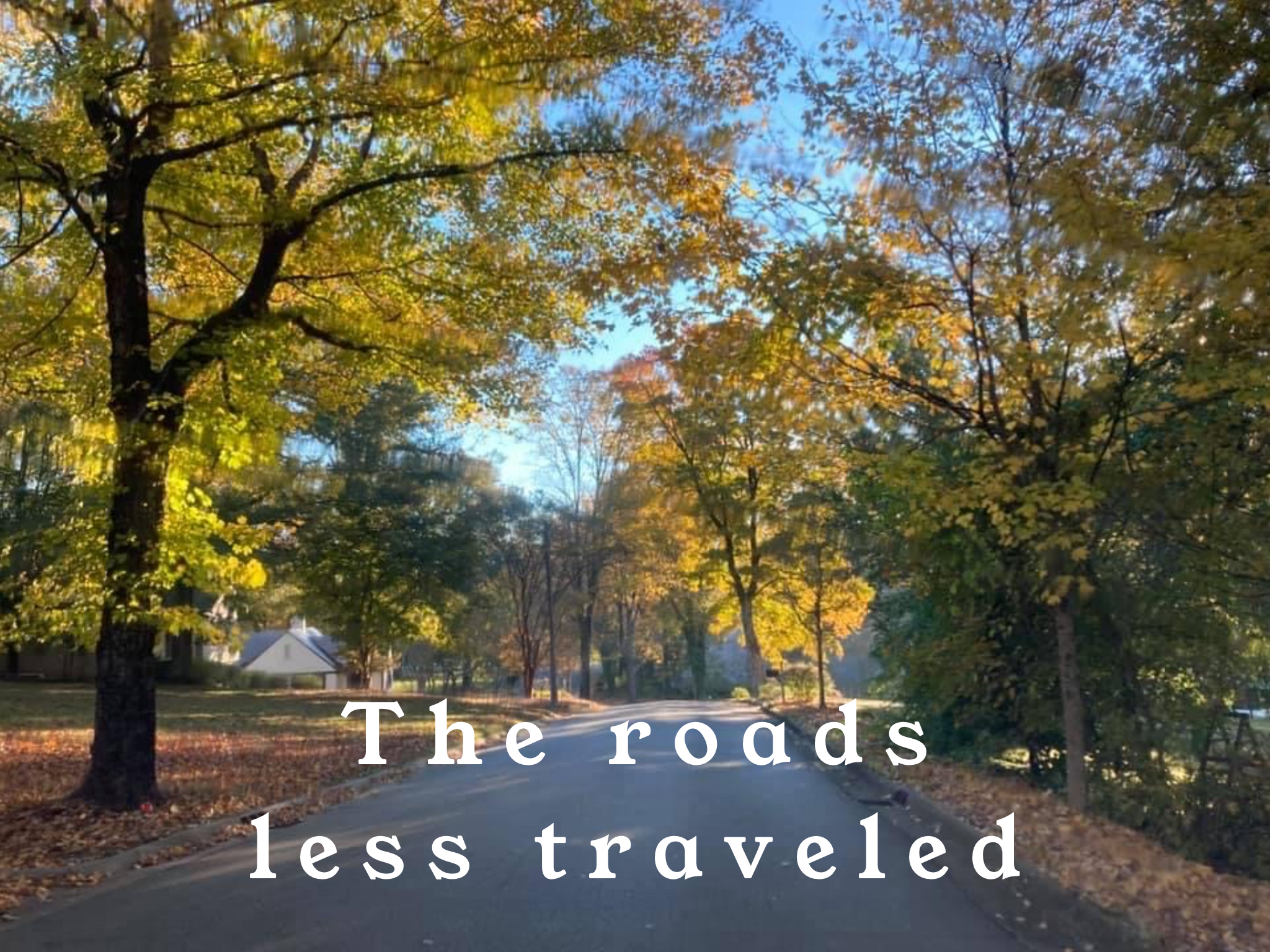 The roads less traveled – Gary Lloyd Books